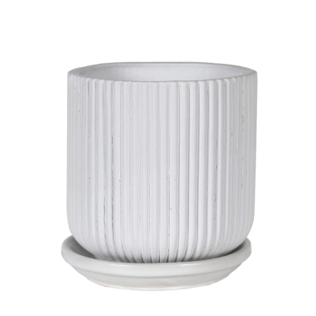 Ceramic Ribbed Plant Pot & Saucer – Holmes Gifts and Interiors